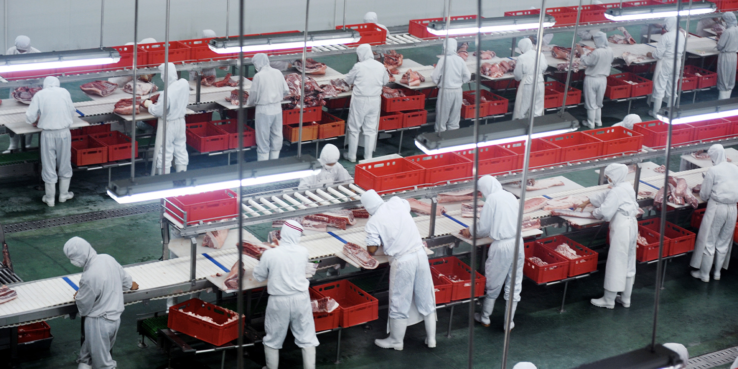 Minimizing Food Safety Risks in Meat Processing: The Role of Hygienic Pumps